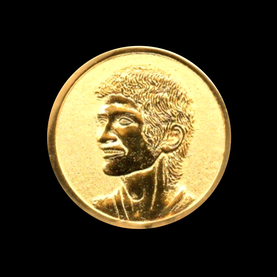 Moneda Dorada M-39 – Premios Corporativos